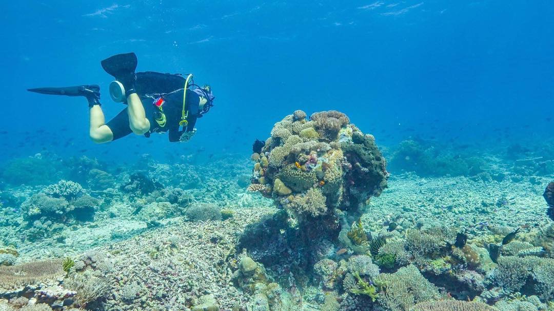 12 Things To Do in Atauro Island - Visit East Timor